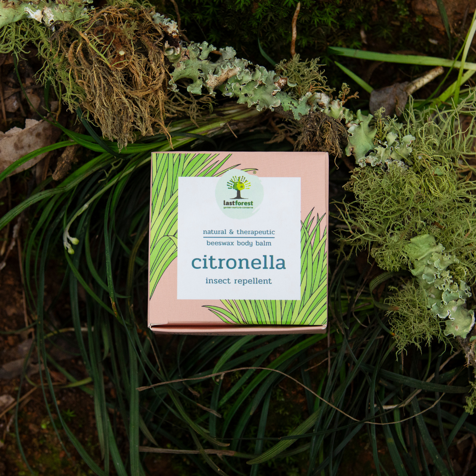 Body Balm - Citronella – Ethic Attic
